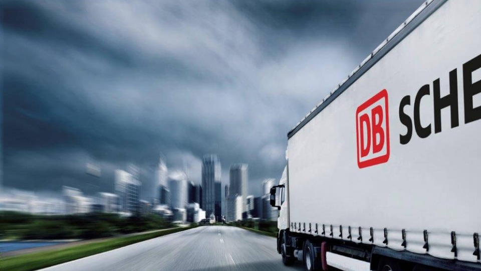 Bear Breaks Free Onboard Aircraft